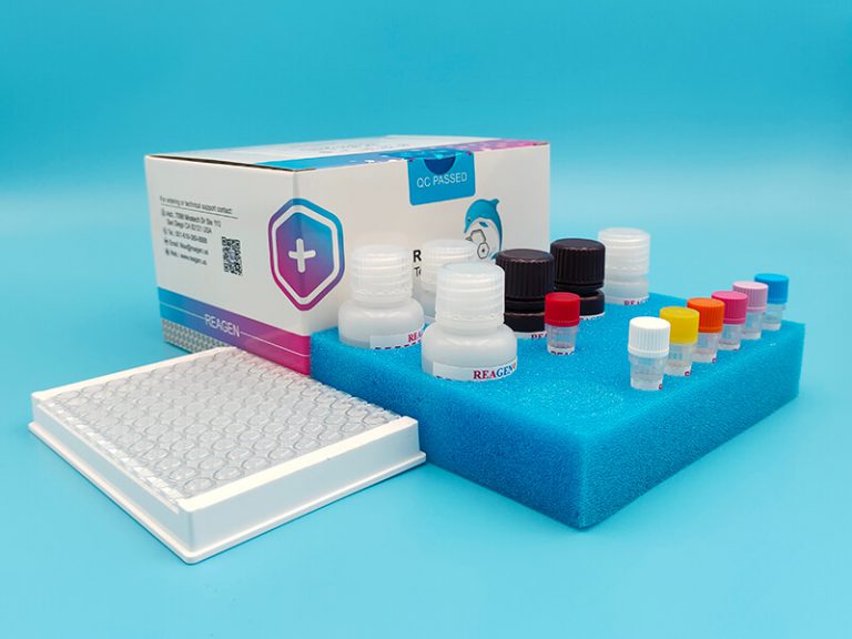 Oxytetracycline ELISA Test Kit - REAGEN QuadSure Covid/Flu A/Flu B/RSV ...