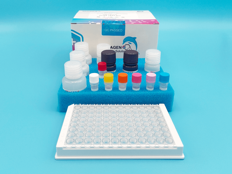 AAV8 Titration ELISA Test Kit - REAGEN QuadSure Covid/Flu A/Flu B/RSV ...